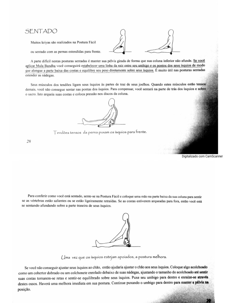 Postura Sentada | PDF