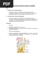 Ligamentos del Pie: Estructura y Función | PDF | Pie | Anatomía del ...