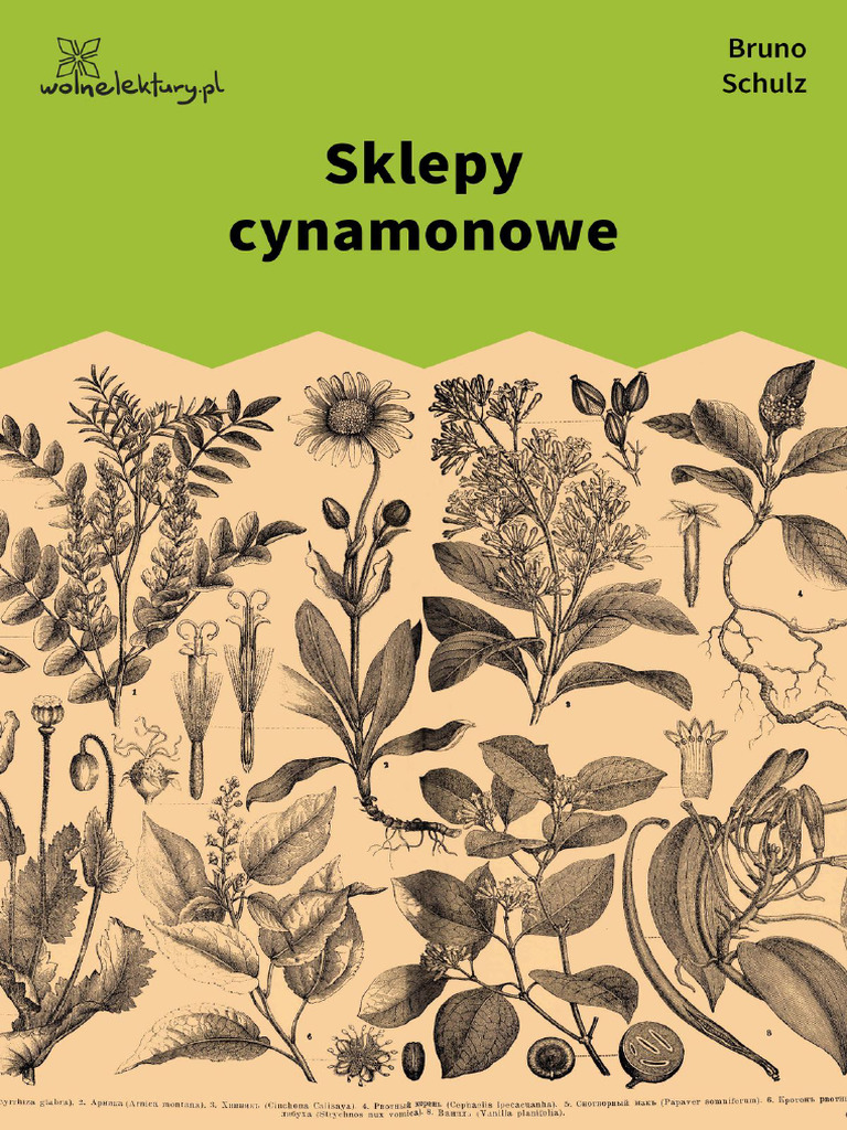 Sklepy Cynamonowe | PDF