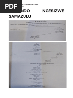 The Zulu State Under Tshaka | PDF | Zulu Kingdom