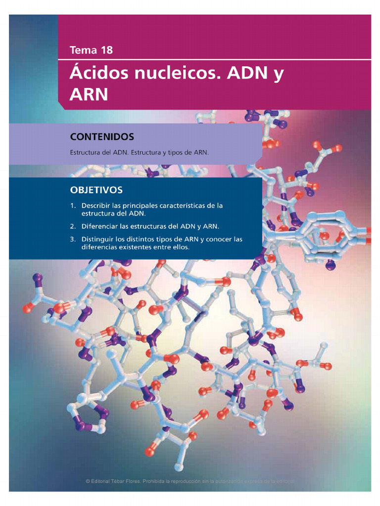 B - Fundamentos de Bioquímica Estructural - AN | PDF