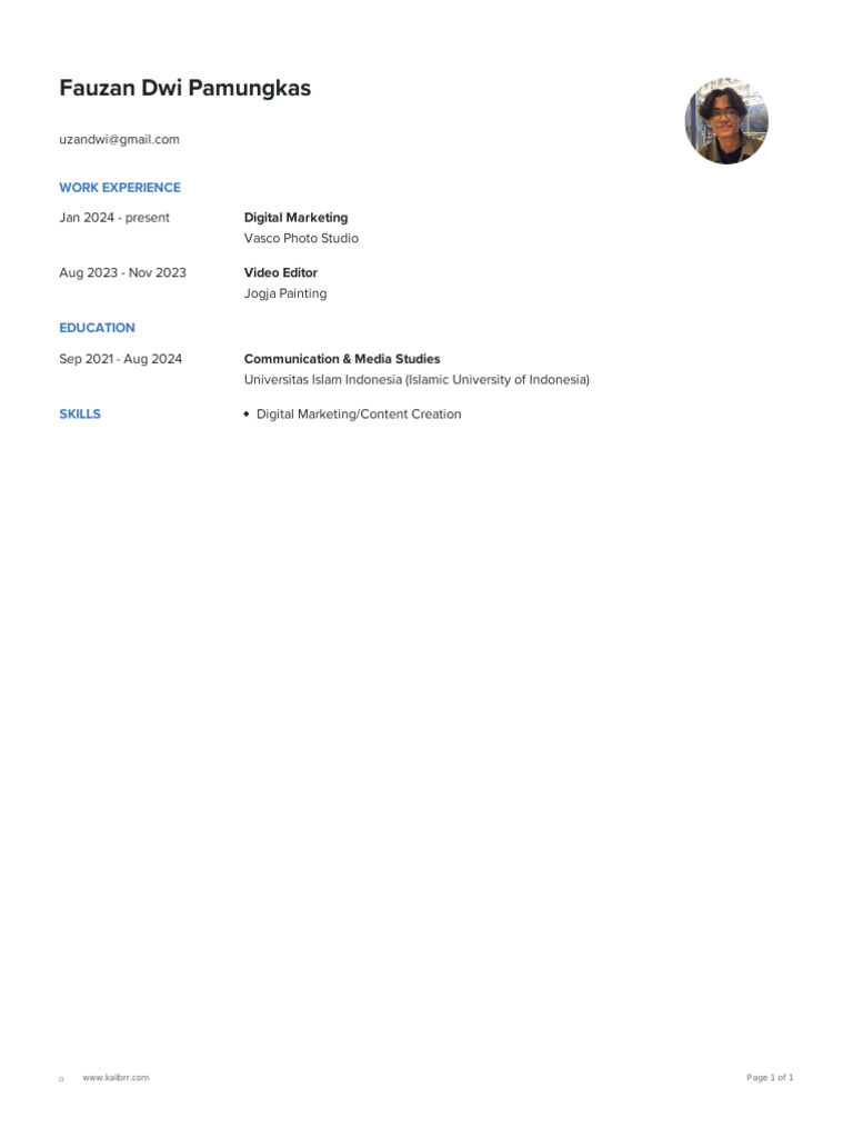 Fauzan Dwi Pamungkas - Digital Marketing - Profile | PDF