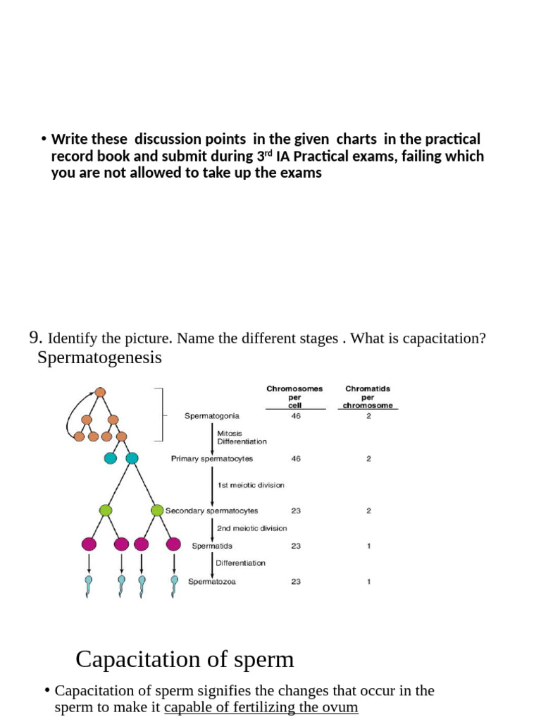 Endocrine Chart Discussion | PDF | Ear | Hearing Loss