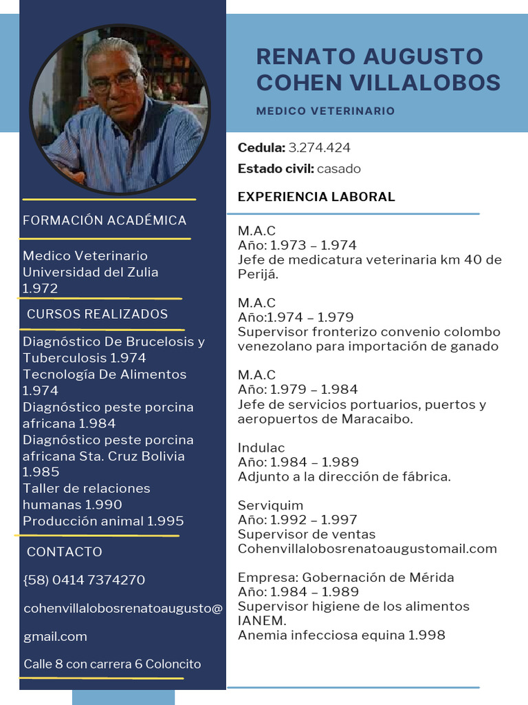 Curriculum Vitae CV Analista de Negocios Profesional Celeste Blanco | PDF