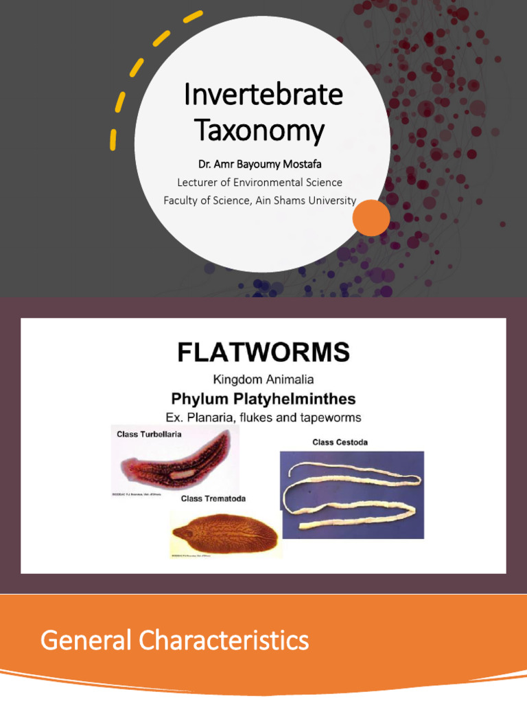 Invertebrate Taxonomy Lecture Platyhelminthes & Nematoda DR - Amr | PDF | Biology | Zoology