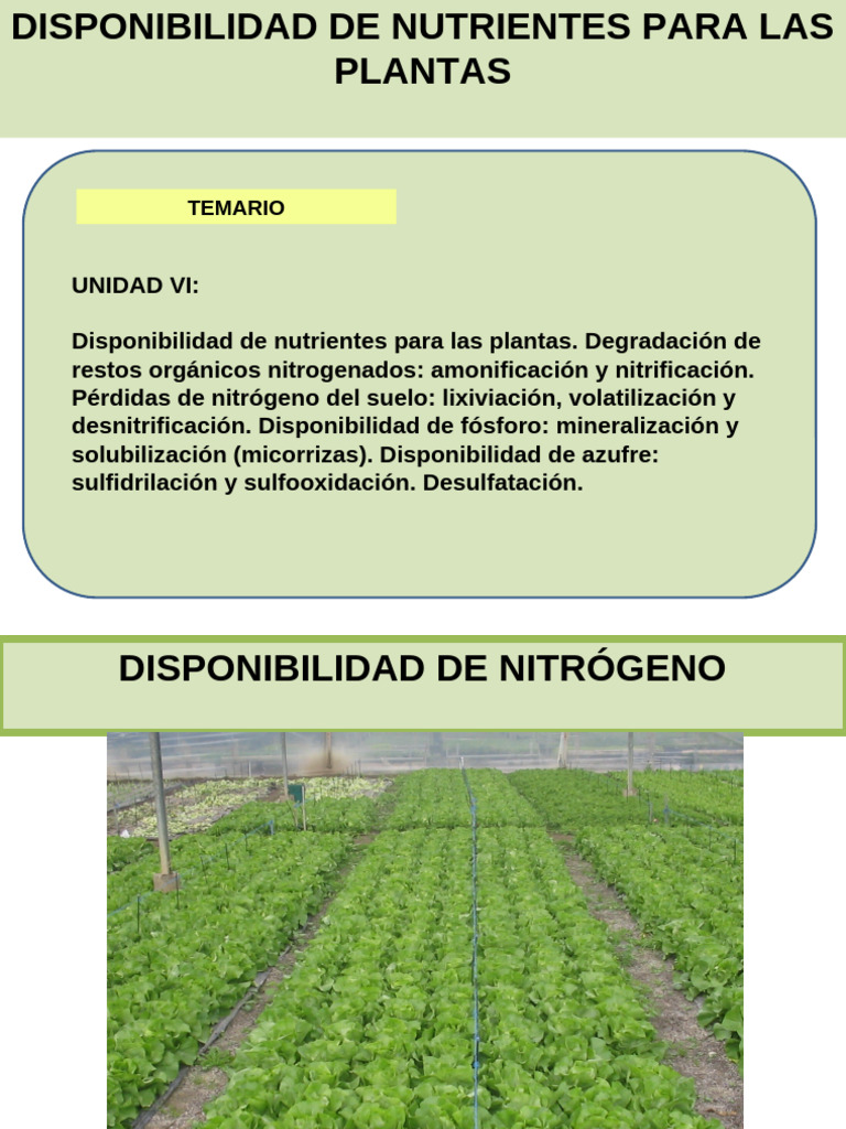 Nutrientes Esenciales para Plantas | PDF | Biología
