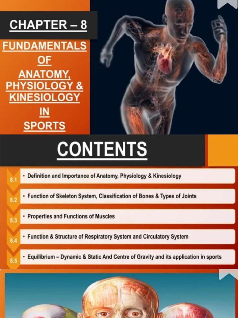Fundamentales of Anatomy and Physiology in Sports | PDF