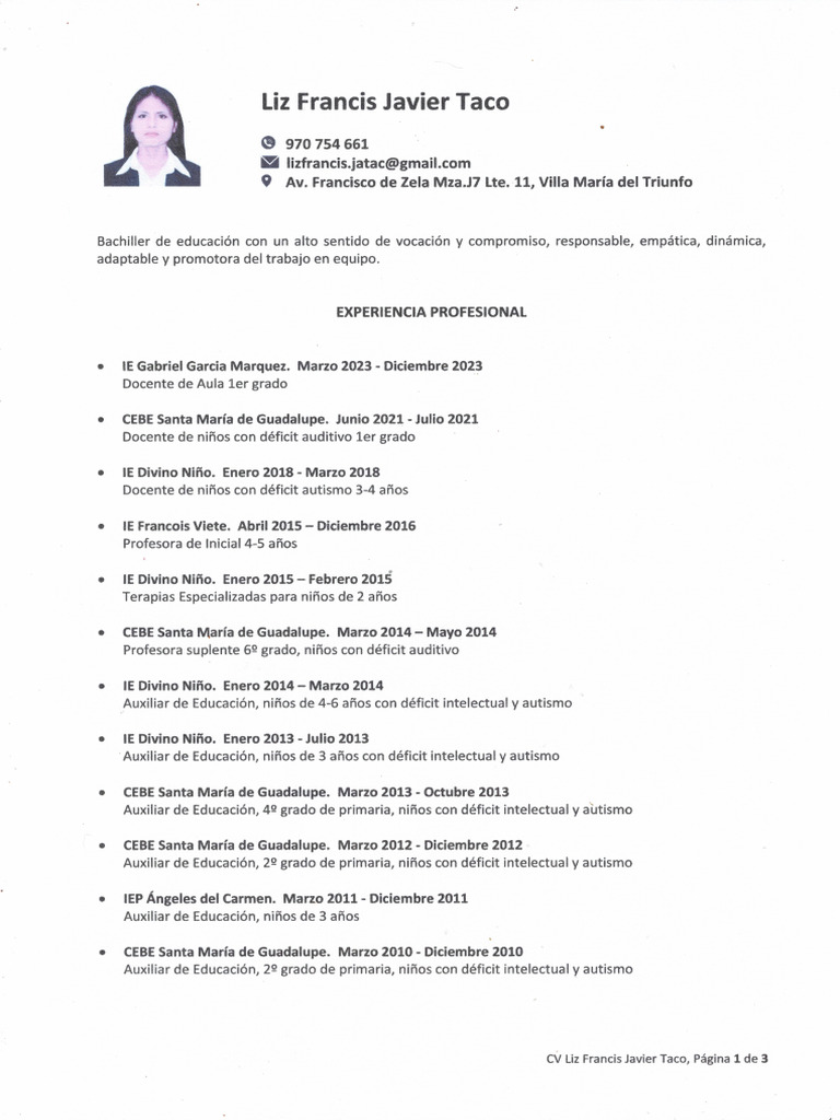 Cv. Liz Javier Taco | PDF