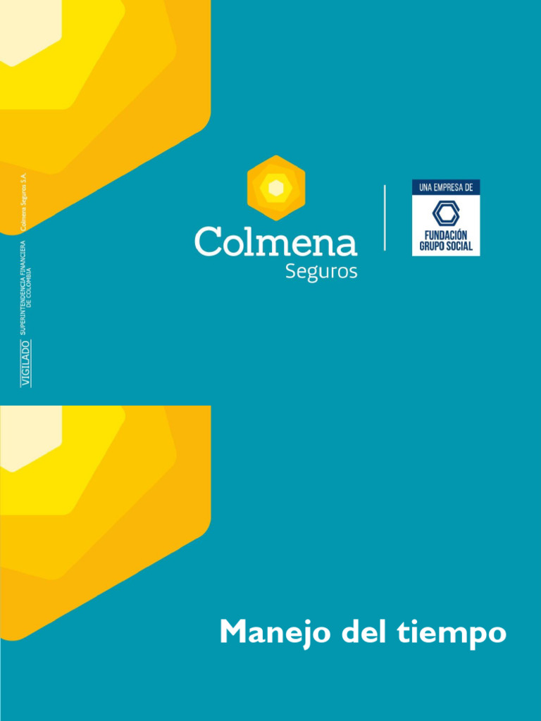 Manejo Del Tiempo | PDF