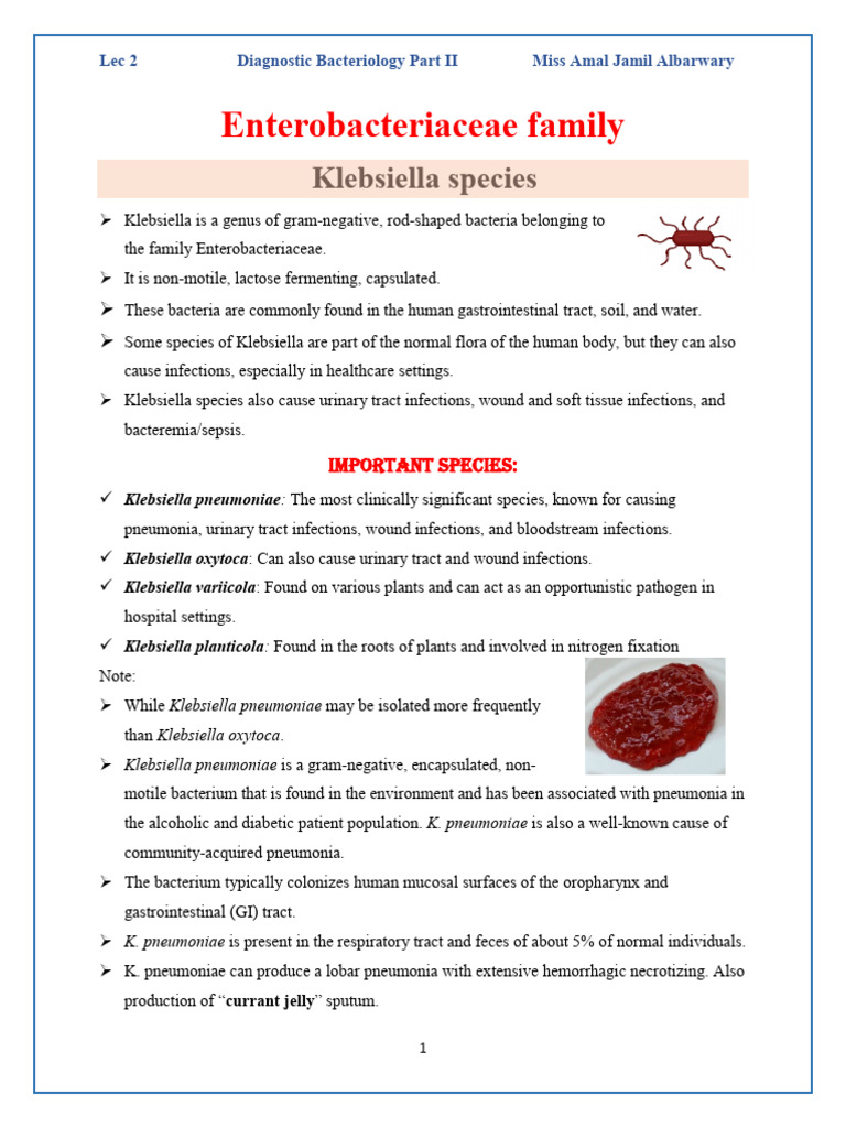 Lec 2 Enterobacteriaceae Docx | PDF | Bacteria | Infection