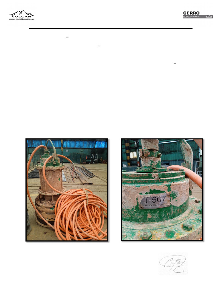 Informe 63 - Bomba T - 507 Puma 40 HP | PDF