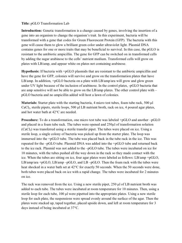 PGLO Bacterial Transformation Lab Guide | PDF | Transformation ...