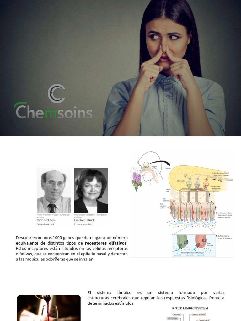 Fixol Presentacion | PDF