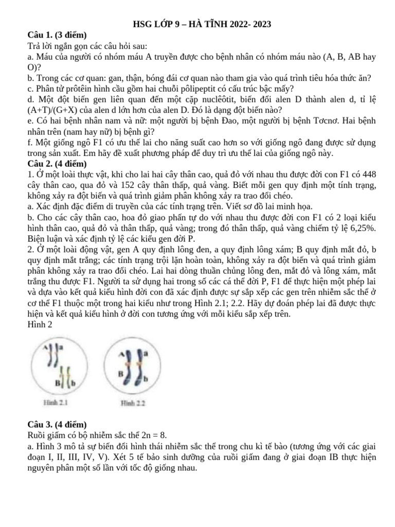 HSG L P 9 - Hà Tĩnh 2023 | PDF