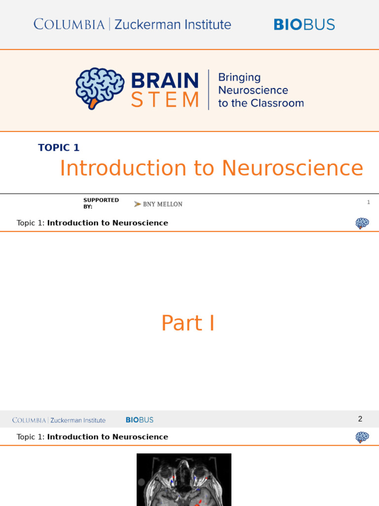 Topic 1 Slides_ Introduction to Neuroscience | PDF | Neuroscience | Brain