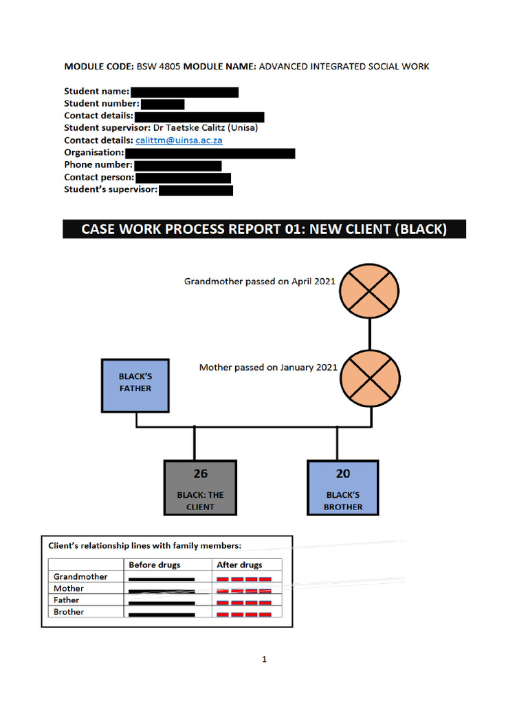 Client Case Summary: Substance Abuse Recovery | PDF | Drug ...