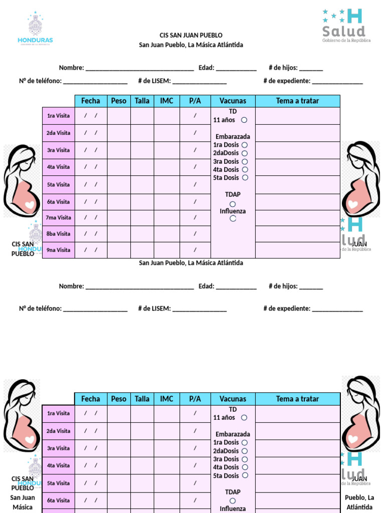 Carnet Clud de Embarasada | PDF | Salud infantil | Ciencias de la Salud