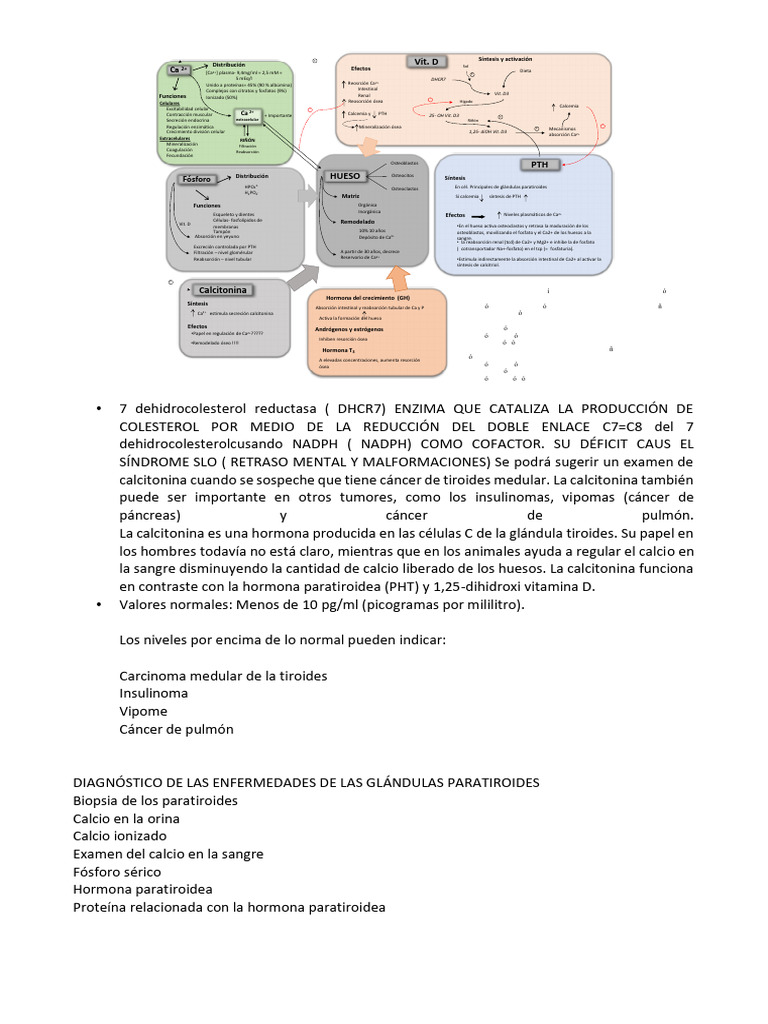 Metabolismo Oseo Parte 3 | PDF | Calcio | Vitamina D