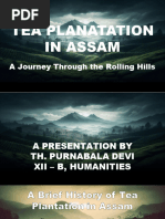 Soal TKA Bahasa Inggris Kelas 12 | PDF | Tea | Water