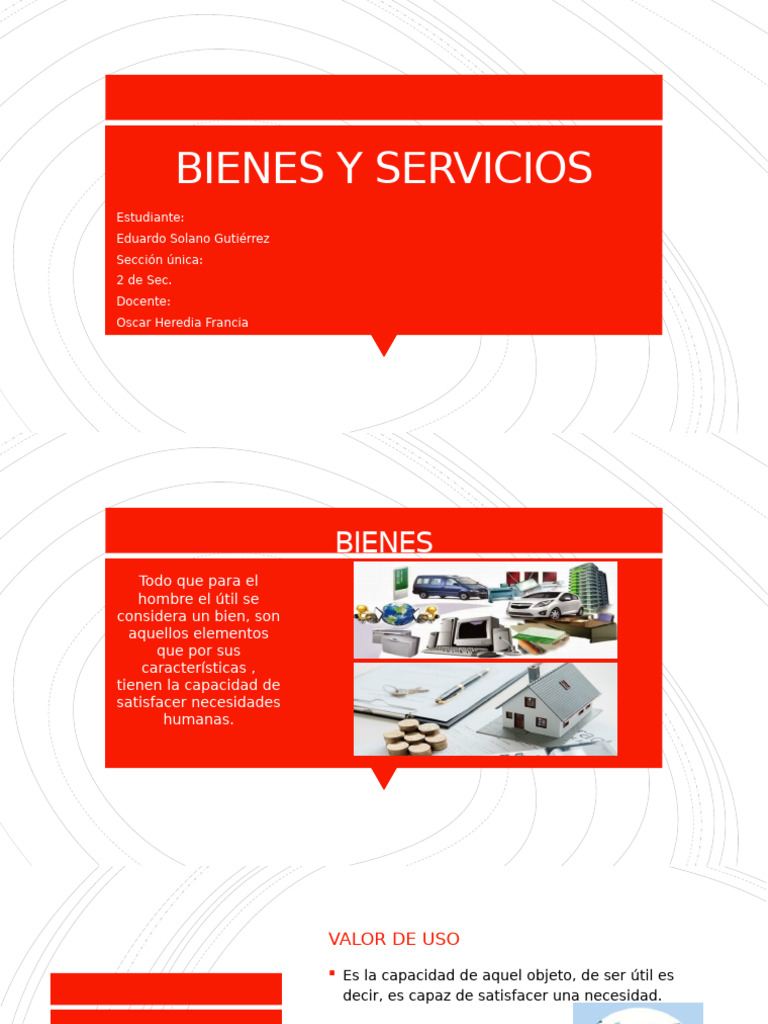 Bienes y Servicios | PDF