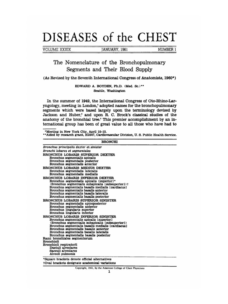 Art 1 Segmentación Pulm | PDF | Lung | Respiratory System
