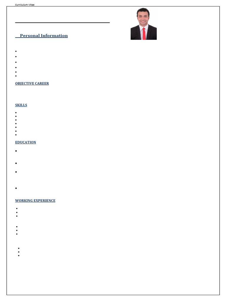 Karim Ahmed CV | PDF