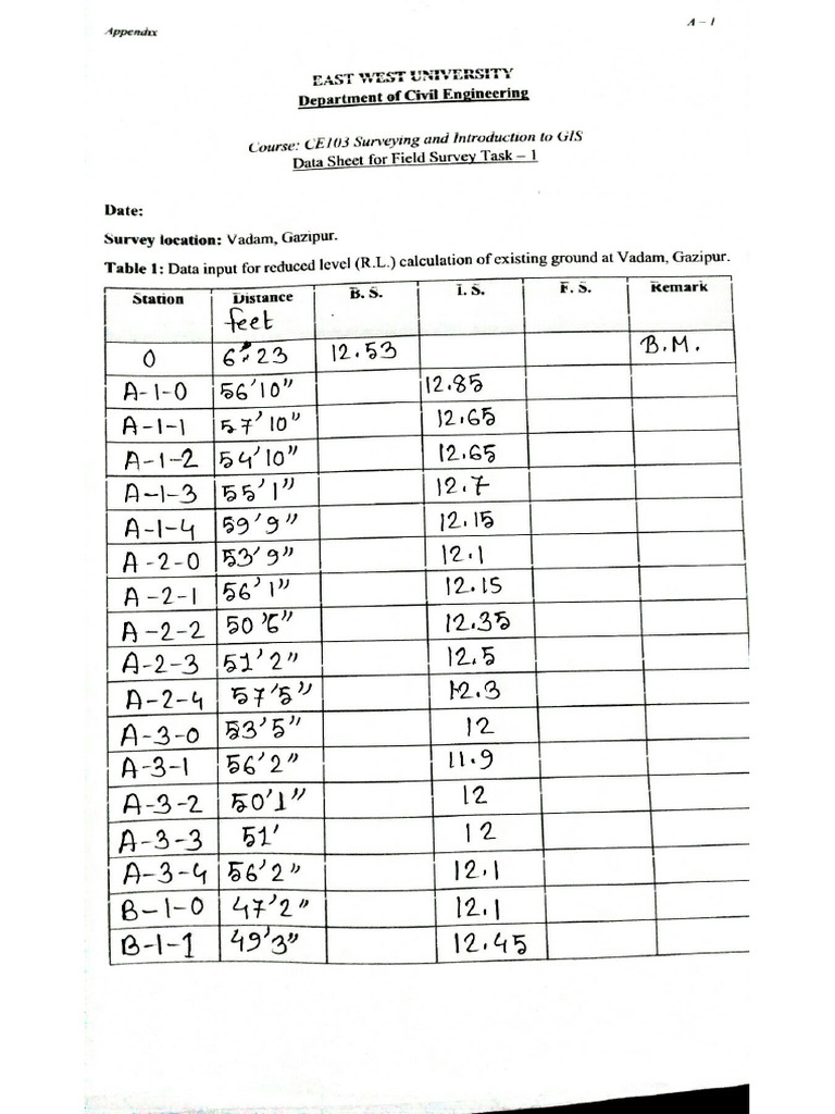 Final Report 1 | PDF