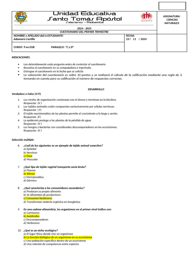 CCNN 24 | PDF | Plantas | Hoja