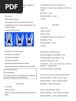 Anatomia Interna do Dente 46 | PDF | Dente humano | Áreas da odontologia