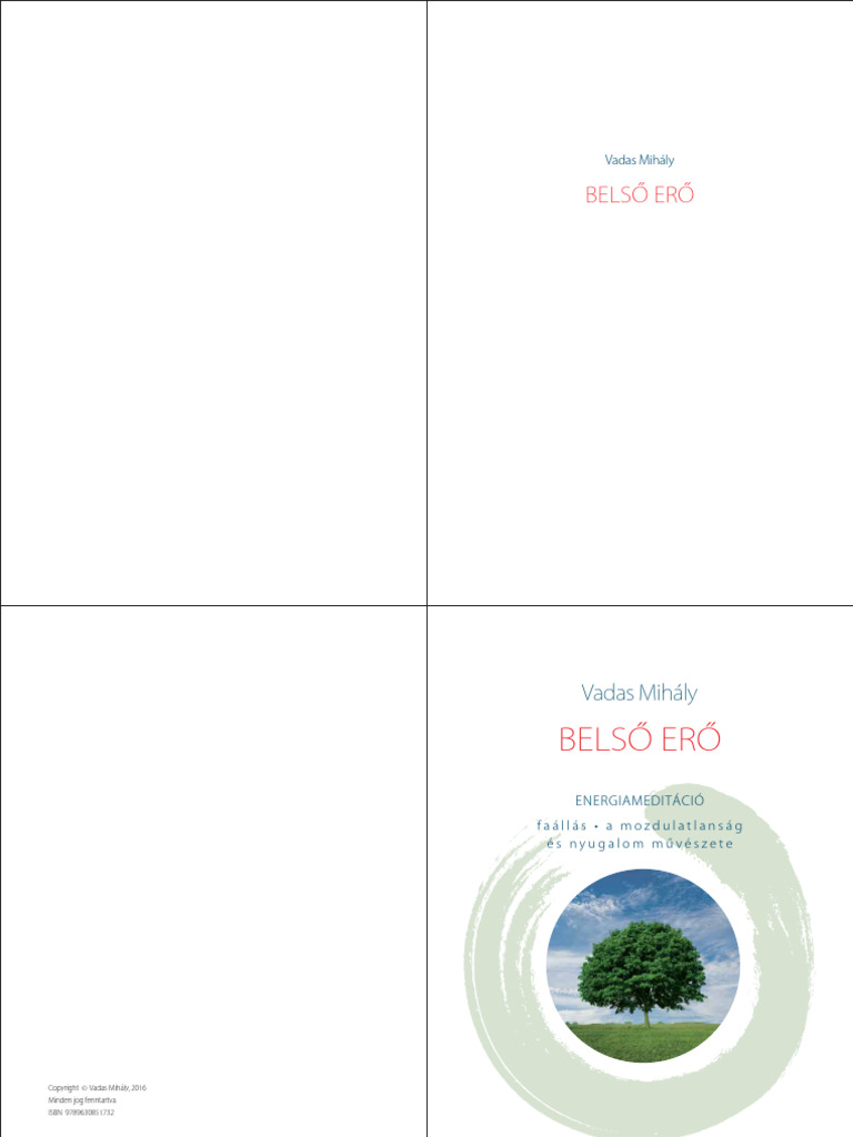 Vadas Mihaly Belso Ero | PDF