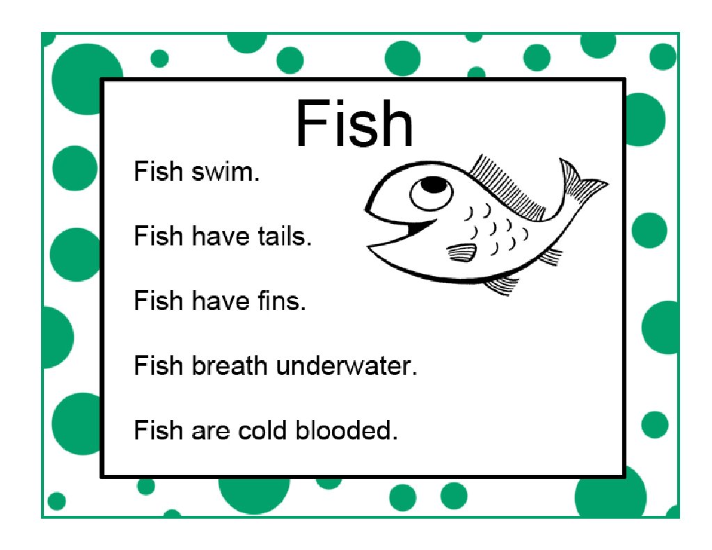 Fish Info | PDF