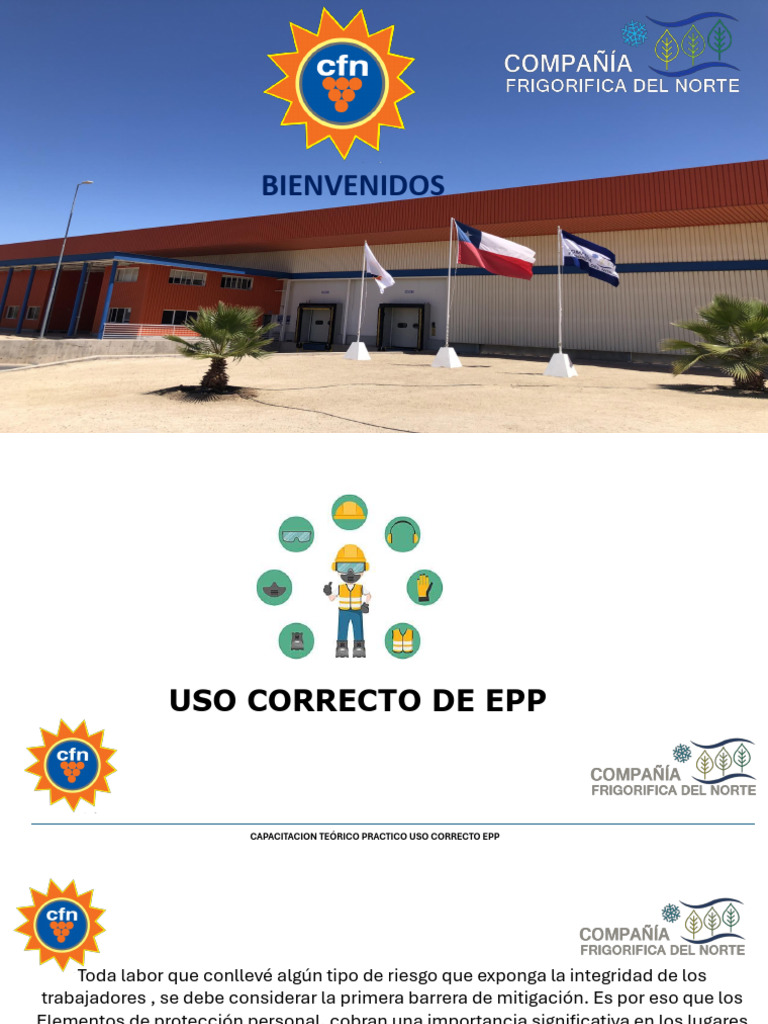 Uso Correcto de EPP y Protección Auditiva | PDF | Escuchando | ruido