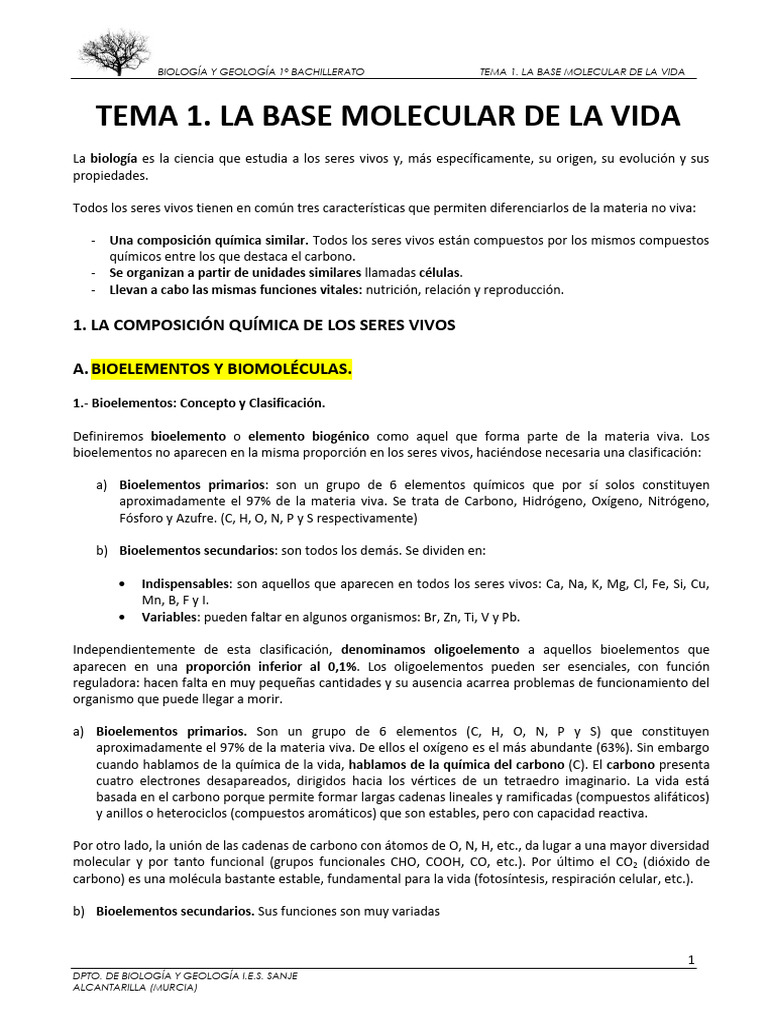 U.D. 1. La Base Molecular de La Vida | PDF | Polisacárido | Carbohidratos