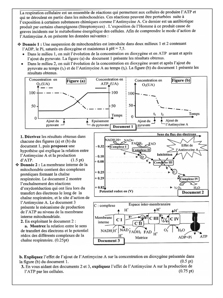 Exercice 3 PC International | PDF