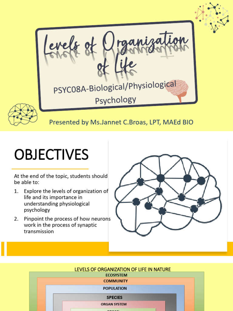Levels of Biological Organization | PDF | Cell (Biology) | Life