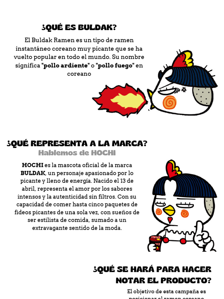 Campaña Publicitaria Buldak y HoChi | PDF | Píxel | Resolución de pantalla
