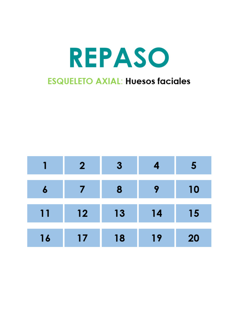 Huesos Faciales y su Anatomía | PDF | Sistema musculoesquelético ...