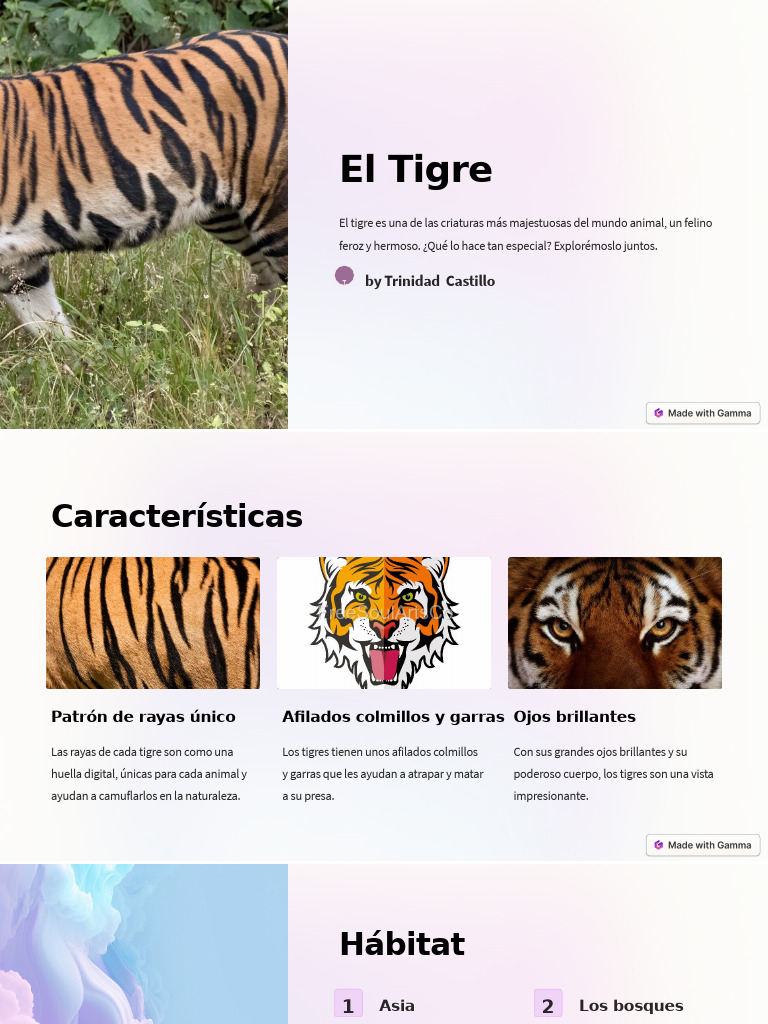 El Tigre | PDF | Tigre | Zoología