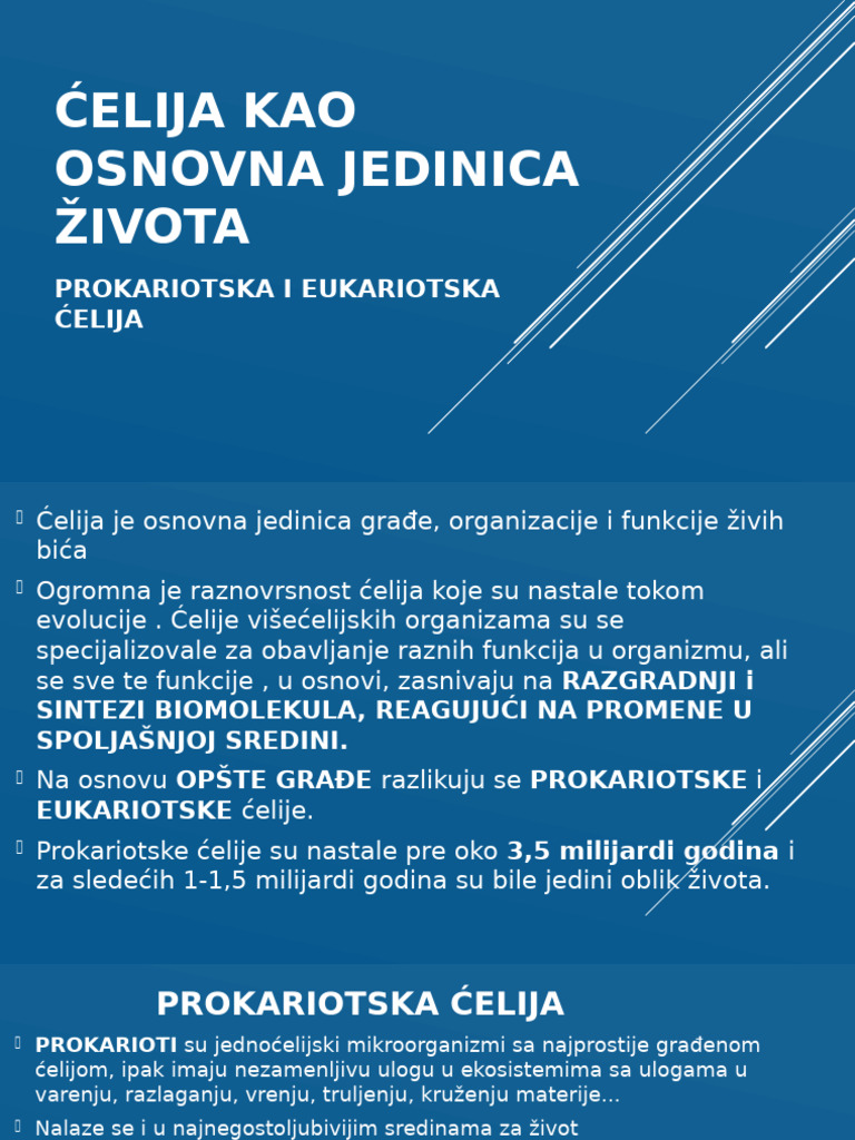 Ćelija Kao Osnovna Jedinica Života | PDF