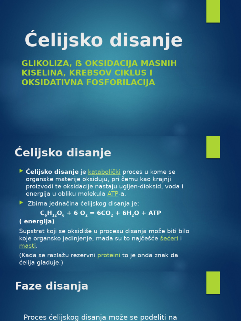 ĆELIJSKO DISANJE - Glikoliza, SS Oksidacija Masnih Kiselina, Krebsov Ciklus I Oksidativna ...