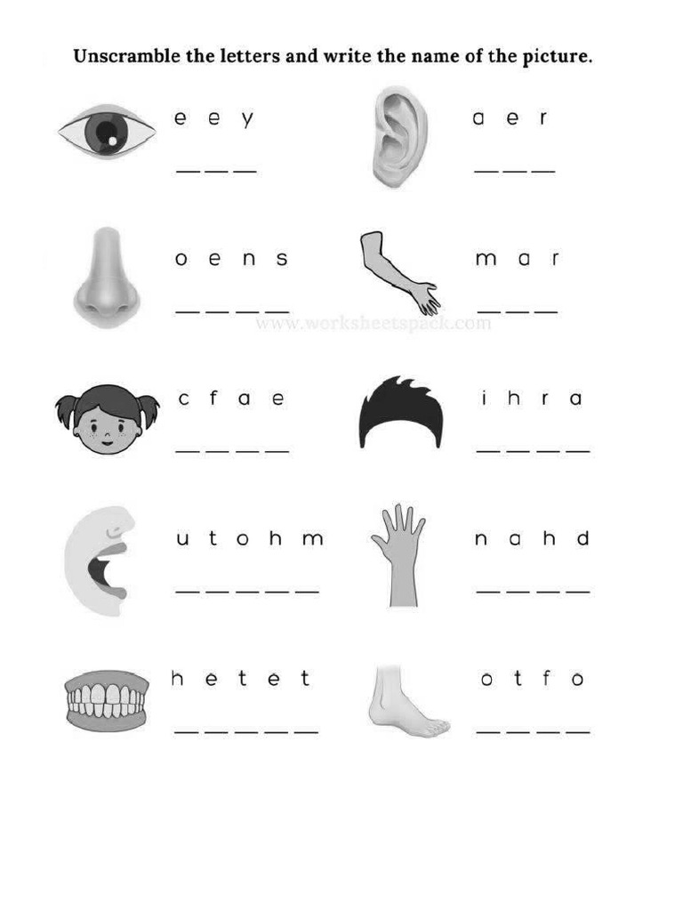 WORKSHEET CHAPTER 6 | PDF