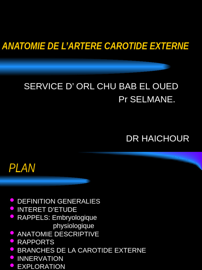 CAROTIDE EXTERNE1 Mustapha | PDF | Cou | Artère carotide commune