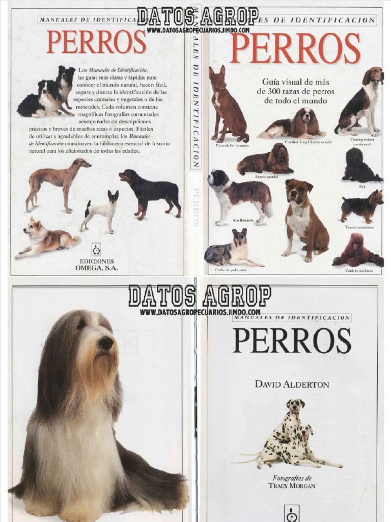 Vdocuments - MX Manual de Identificacion Perrospdf | PDF