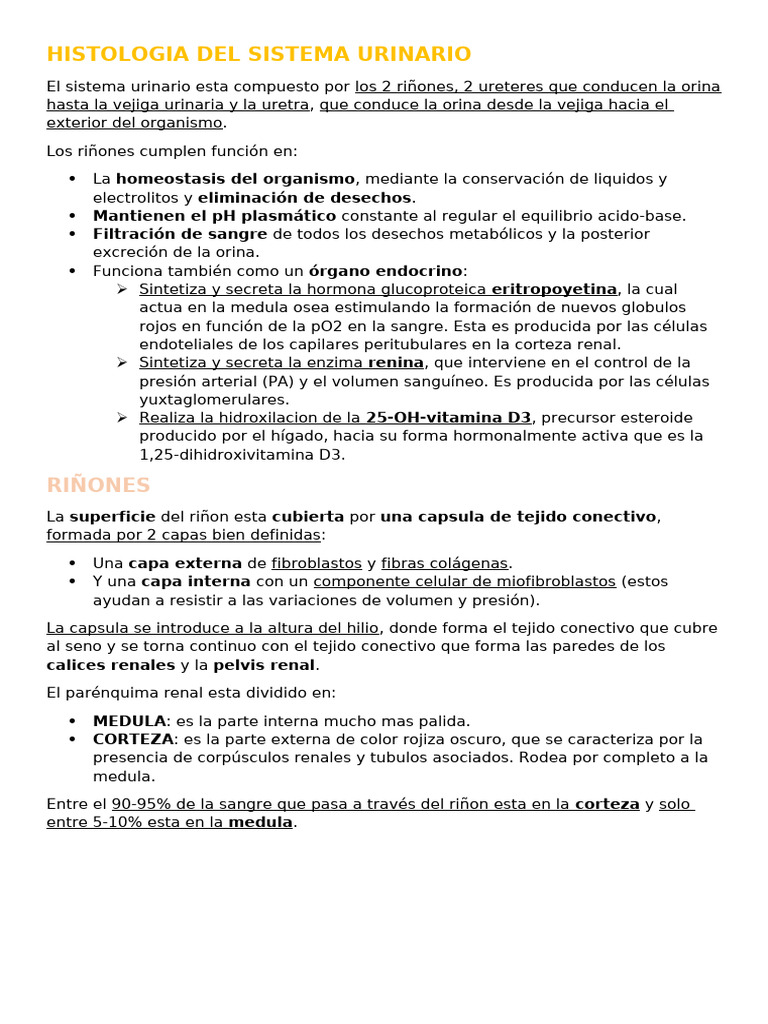 HISTOLOGIA DEL SISTEMA URINARIO | PDF | Riñón | Sistema urinario