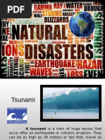 Natural Disasters Notes Grade 3 To 6 | PDF | Natural Disasters ...
