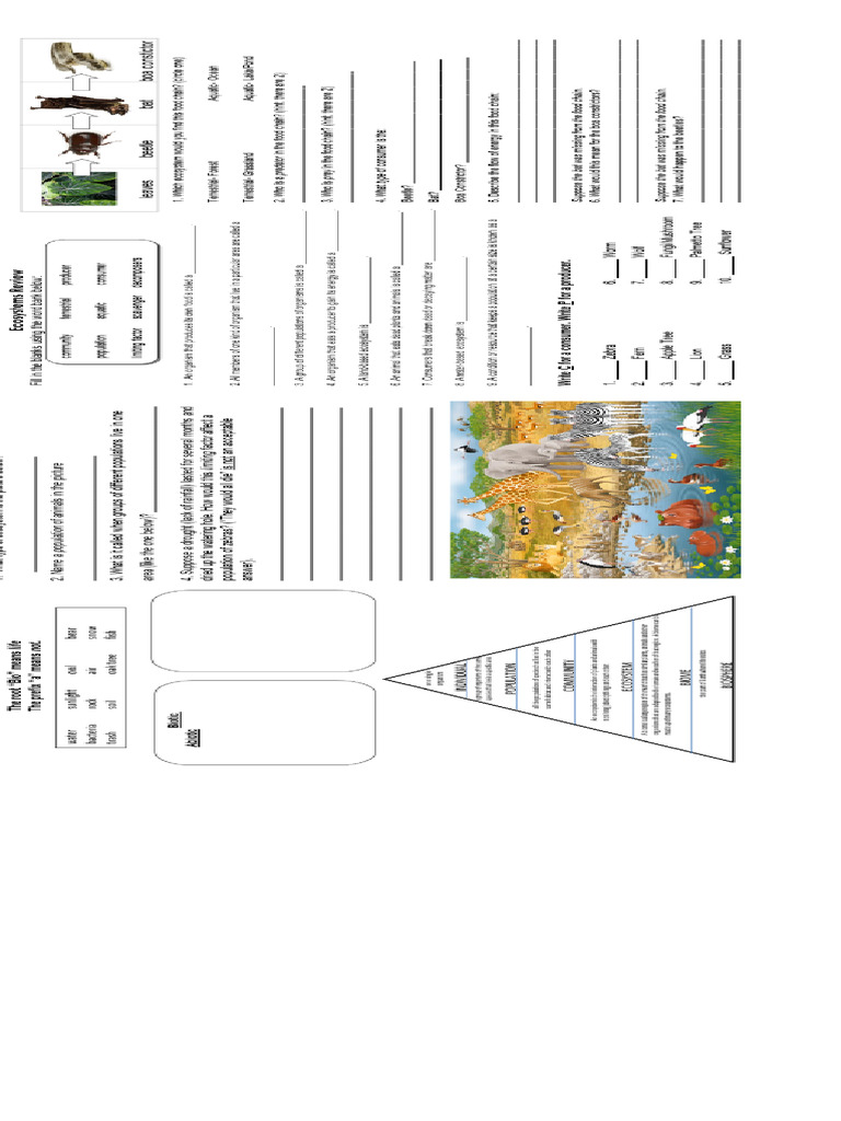 Ecosystems Review | PDF