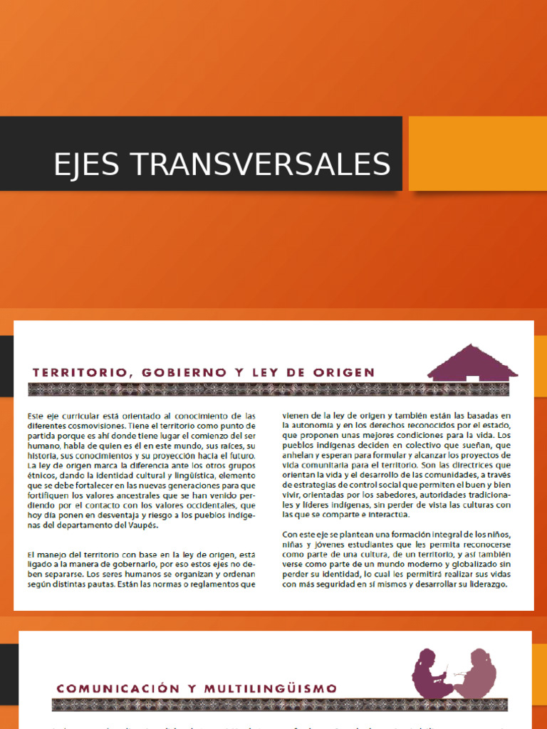 Ejes Transversales | PDF