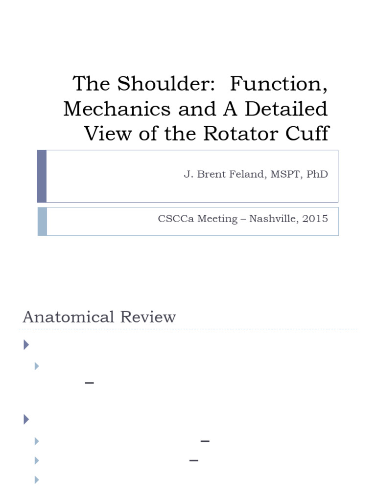 Brent Feland - The Shoulder, Function, Mechanics, and A Detailed View ...