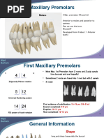 Maxillary 1st Premolar | PDF | Dental Anatomy | Tooth