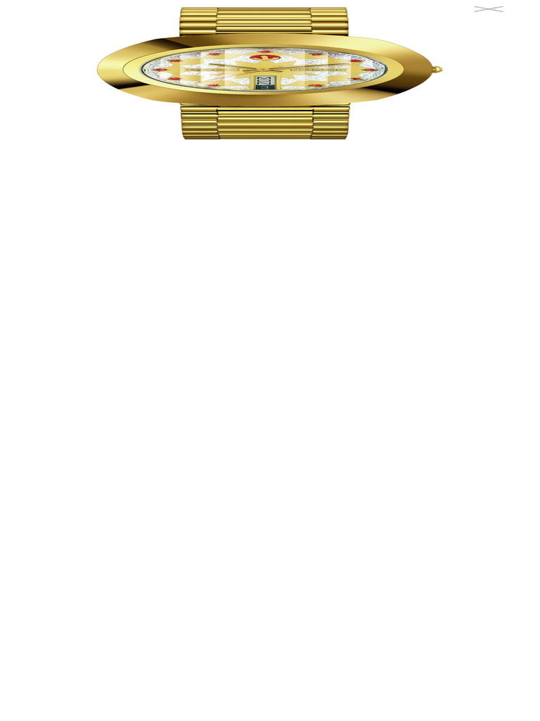 The Original Automatic Erkek CVD Kaplı Sert Metal Saat R12413073 Rado ...